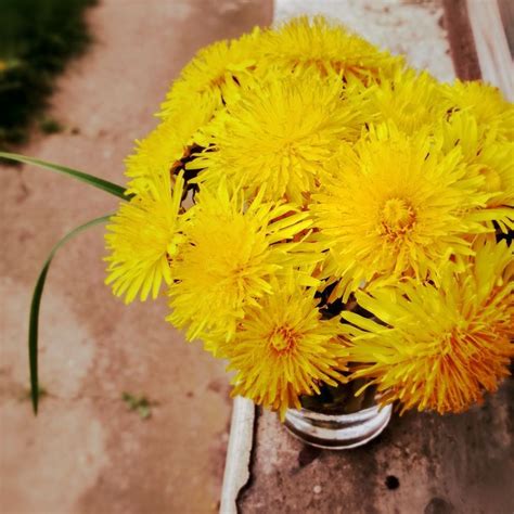 Доброе субботнее утро 🌸