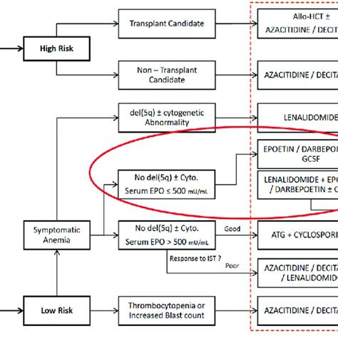 Nccn Guidelines For The Treatment Of Mds The Orange Dashed Box Download Scientific Diagram