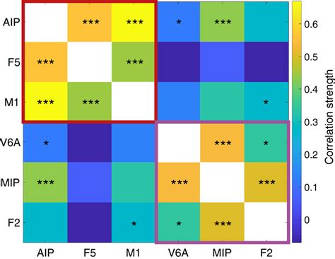 Between Seed Correlation Matrix Color Bar Showing The Mean Correlation