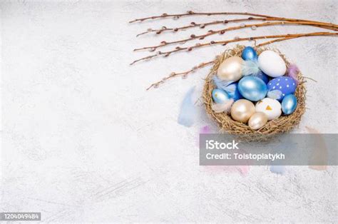 복사 공간을위한 장소와 회색 배경에 버드 나무 가지와 짚의 둥지에 파란색 톤의 부활절 달걀 0명에 대한 스톡 사진 및 기타 이미지 0명 4월 개념 Istock
