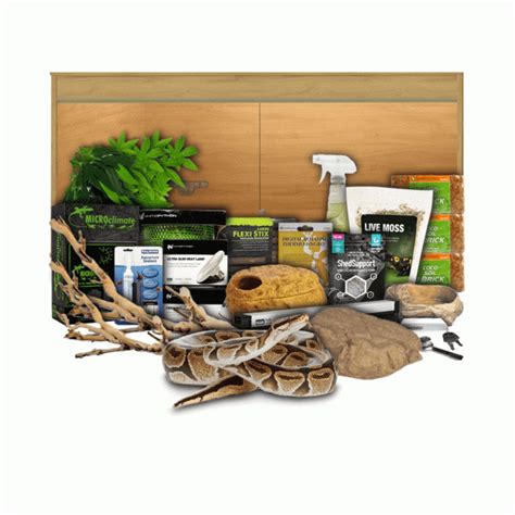 Royal Python Python Regius Care Sheet Help Guides