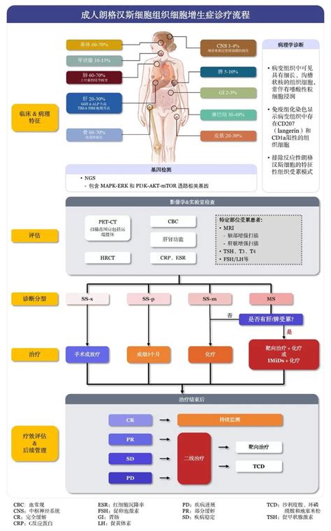 The Innovation 成人朗格汉斯细胞组织细胞增生症的诊断与治疗指南 知乎