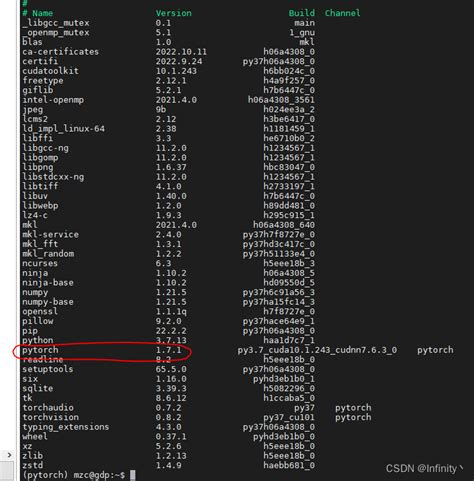 Linux系统安装Anaconda3并配置pytorch环境 linux安装anaconda3的步骤 CSDN博客