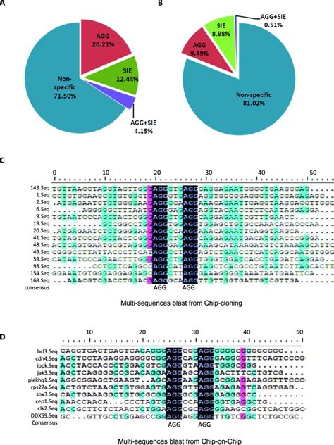 Screening Different Stat3 Dna Binding Sequences A The Relative Ratio Download Scientific