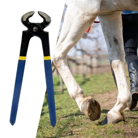 Nail Nippers Farrier