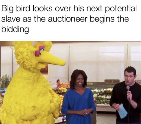 50 Funny Big Bird Memes That Will Make You Laugh