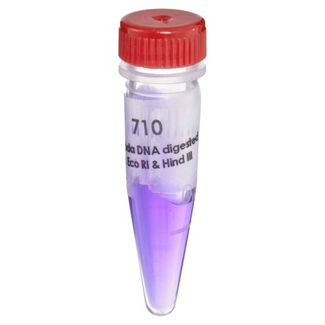 Digested Dnas Lambda Dna 20 μg For 20 Gels Adia Inc