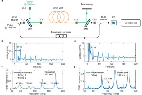 Fsbs Gain Spectrum Measurement For Mmf A Experimental Setup For Mmf Download Scientific