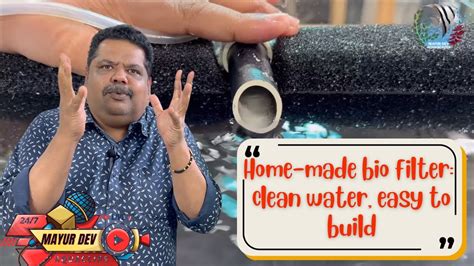 Steps For Bio Filter Setup 🔁 How To Build A Powerful Aquarium
