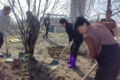 最是一年春光好 植树添绿正当时 区四套班子领导参加义务植树活动