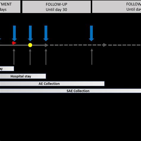 Study Flow Chart Ae Adverse Event Icu Intensive Care Unit Sae