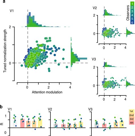 Attentional Modulation As A Function Of Tuned Normalization Strength A Download Scientific