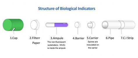 Formaldehyde Biological Indicator For Reliable Sterilization Monitoring Biological Indicator