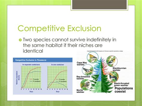 Option C Advanced Ecology Ppt Download
