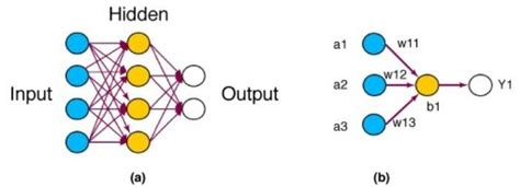 A Illustration Of Neural Networks NNs A A Basic NN Is Composed Of