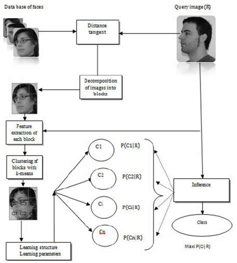 Tree Augmented Naïve Bayes Structure Example Download Scientific Diagram