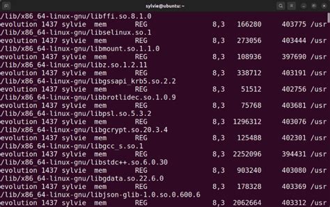 The Lsof” Command In Linux 8 Practical Examples