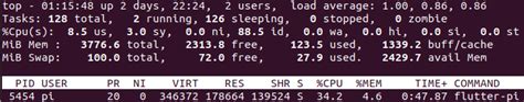 strange case out of memory · issue 133 · ardera flutter pi · github