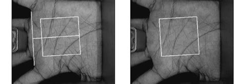 A Typical Multispectral Palmprint Sample A Blue B Green C Red Download Scientific