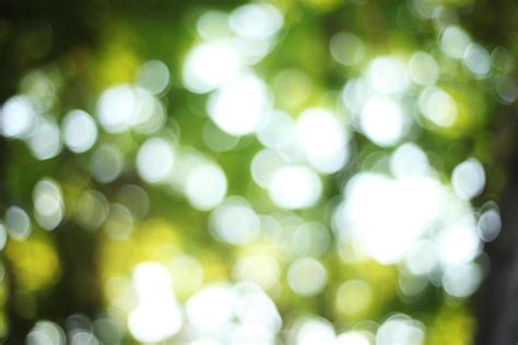 Blur Background Of Trees And Sky