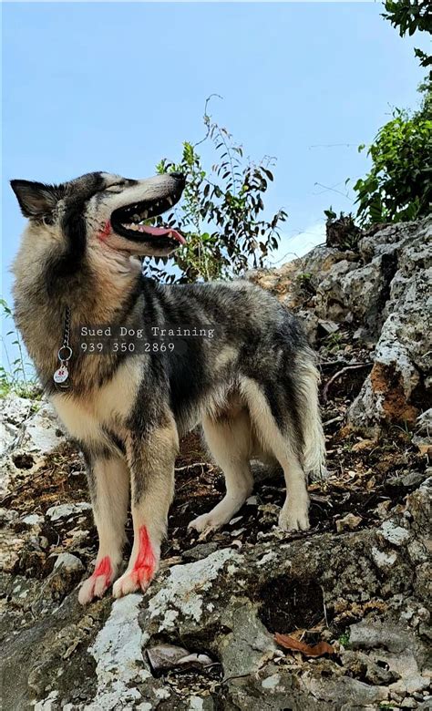 Python Lab Python Lab Added A New Photo