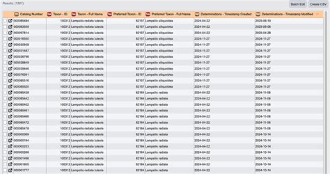 Bug Report Preferredtaxon Does Not Automatically Update In Existing Determinations When Taxon