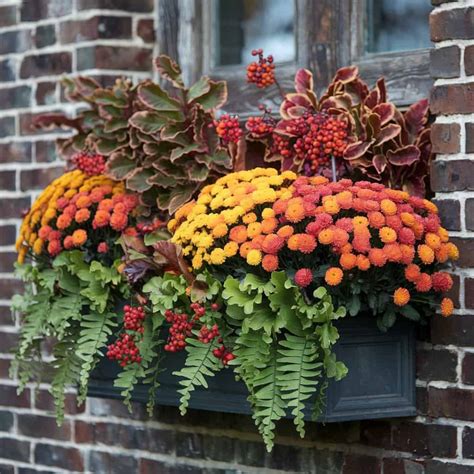 Fall Window Boxes For Your Home Aesthetic