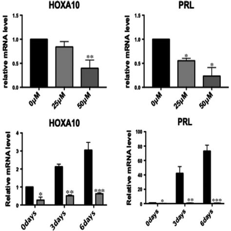 Mm102 Influence Endometrial Stromal Cells Decidualization A Mll1 Download Scientific Diagram