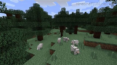 Minecraft Biomes Minecraft 101