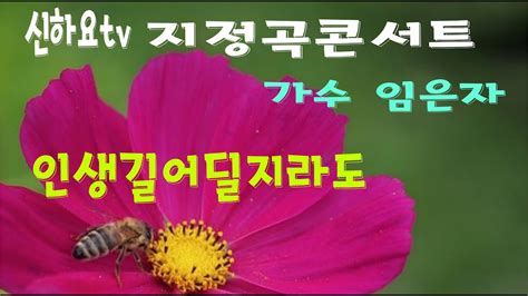 제236회 지정곡콘서트 240905 목요일의 선택 Youtube