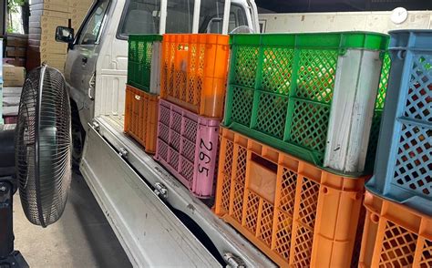 雨だけど 清水果樹園 カキ丸くん