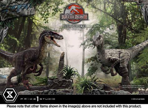 Legacy Museum Collection Jurassic Park 3 Velociraptor Female