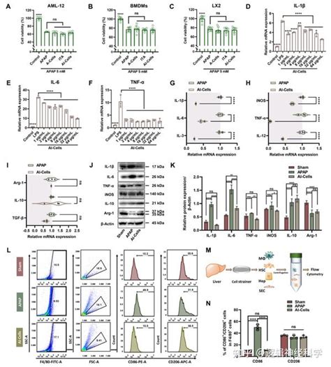 Cell Reports Medicine︱中山大学冯敏 海南大学郭羚团队合作揭示人工细胞递送衣康酸诱导抗炎记忆样巨噬细胞，拯救急性肝衰竭并
