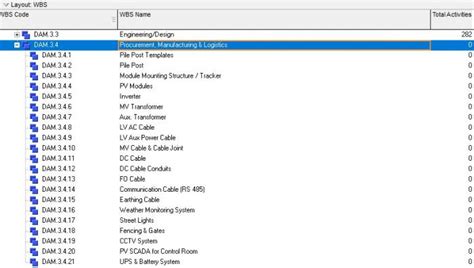 P6 WBS Is Hierarchy Is Mismatching In Activity Window Dedicated To Project Controls