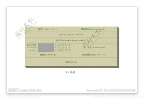 tcp头部图片素材 编号08653482 图行天下