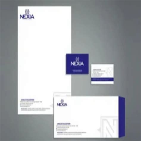 White And Blue Rectangular Soft Bound Printed Letterhead Size 8x11inch At ₹ 5 Piece In New Delhi