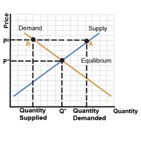 Quantity Demanded And Quantity Supplied