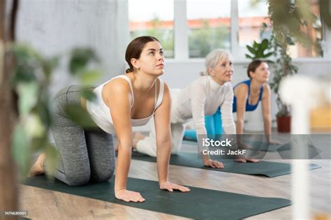 스튜디오에서 요가 운동 중 네 발로 Bitilasana 또는 Cow Stretch 자세를 수행하는 다양한 연령대의 활동적인 여성 Bitilasana에 대한 스톡 사진 및