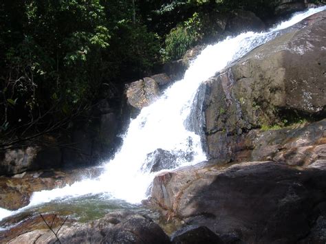 Kannaliya Rain Forest Kanneliya Water Falls