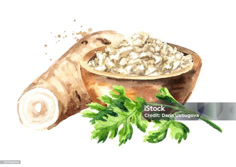 고추냉이 뿌리 강판 고추냉이와 신선한 허브와 그릇 흰색 배경에 고립 된 손으로 그린 수채화 그림 겨자무에 대한 스톡 벡터 아트 및 기타 이미지 Istock