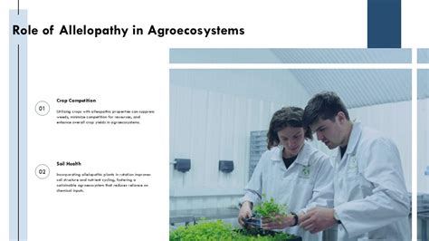 Role Of Allelopathy In Agroecosystems Ppt Presentation St Ai Ss Ppt Sample