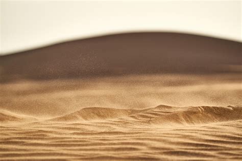 1000 Kostenlose Sahara Und Wüste Bilder Pixabay