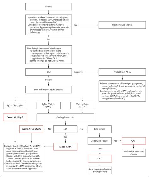 Lab Workup For Hemolytic Anemia At Tina Kemp Blog