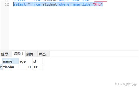 mysql知识点详细总结 csdn博客
