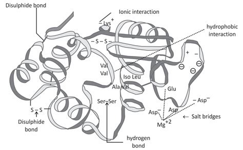 Tertiary Structure Chemistry