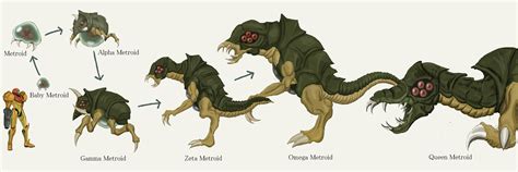 Samus Aran Metroid Queen Metroid Zeta Metroid Omega Metroid And 2
