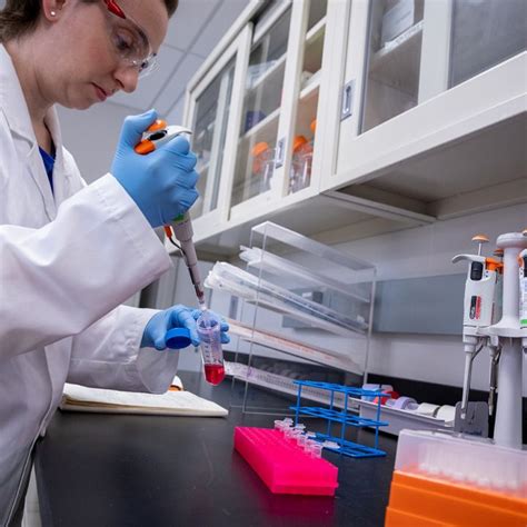 Lab Essentials Tips For Making Your Cell Culture Work More Efficient