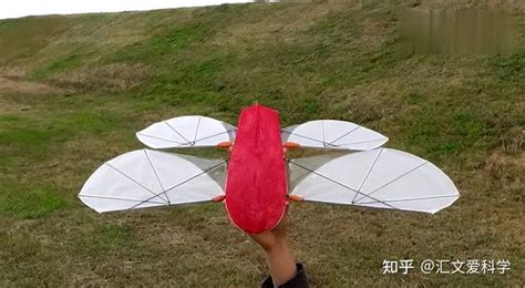 仿生学之谜为何无法打造出蜻蜓一样的扑翼机 知乎