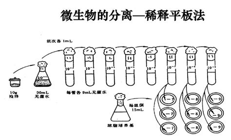微生物检测员资格证无菌检验员培训 微生物培养八种接种方法及九条注意事项 知乎