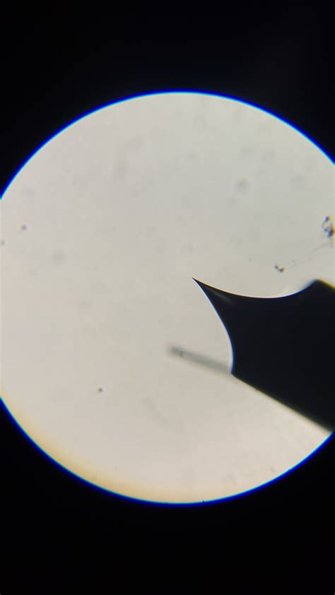 Software And First Tests Details